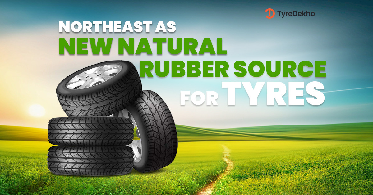 Northeast As New Natural Rubber Source For Tyres